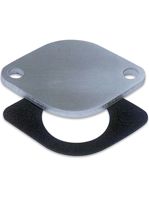 Buy Moroso Water Neck Block-Off Plate, Chevy V8 And V6 63471 Online ...