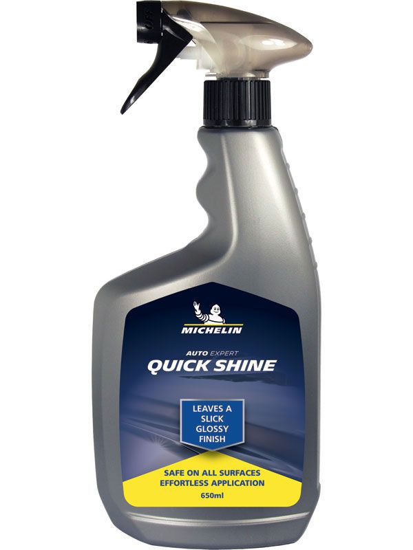 Buy Michelin Quick Shine One Step Solution For All Types 650ml 31951 ...