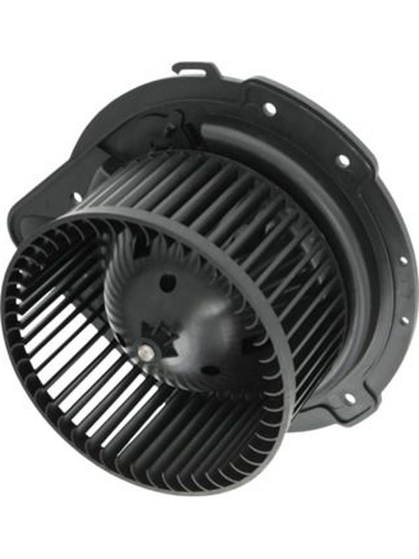 Buy Valeo Interior Blower 2 Poles For LH 145mm w/o Regulator 216W ...