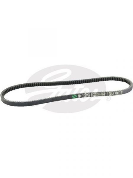 Buy Gates Heavy Duty Truck & Bus Drive V-Belt TR24438 Online | Rolan ...