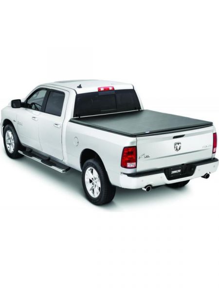 Buy Tonno Pro 09-19 For Dodge RAM 1500 5.7ft Fleetside Lo-Roll Tonneau ...