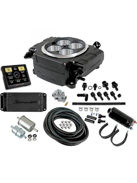 Buy Holley Sniper 2 EFI 650 HP Inline Pump Fuel Injection System 550 ...